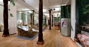 bioversum | Jagdschloss Kranichstein