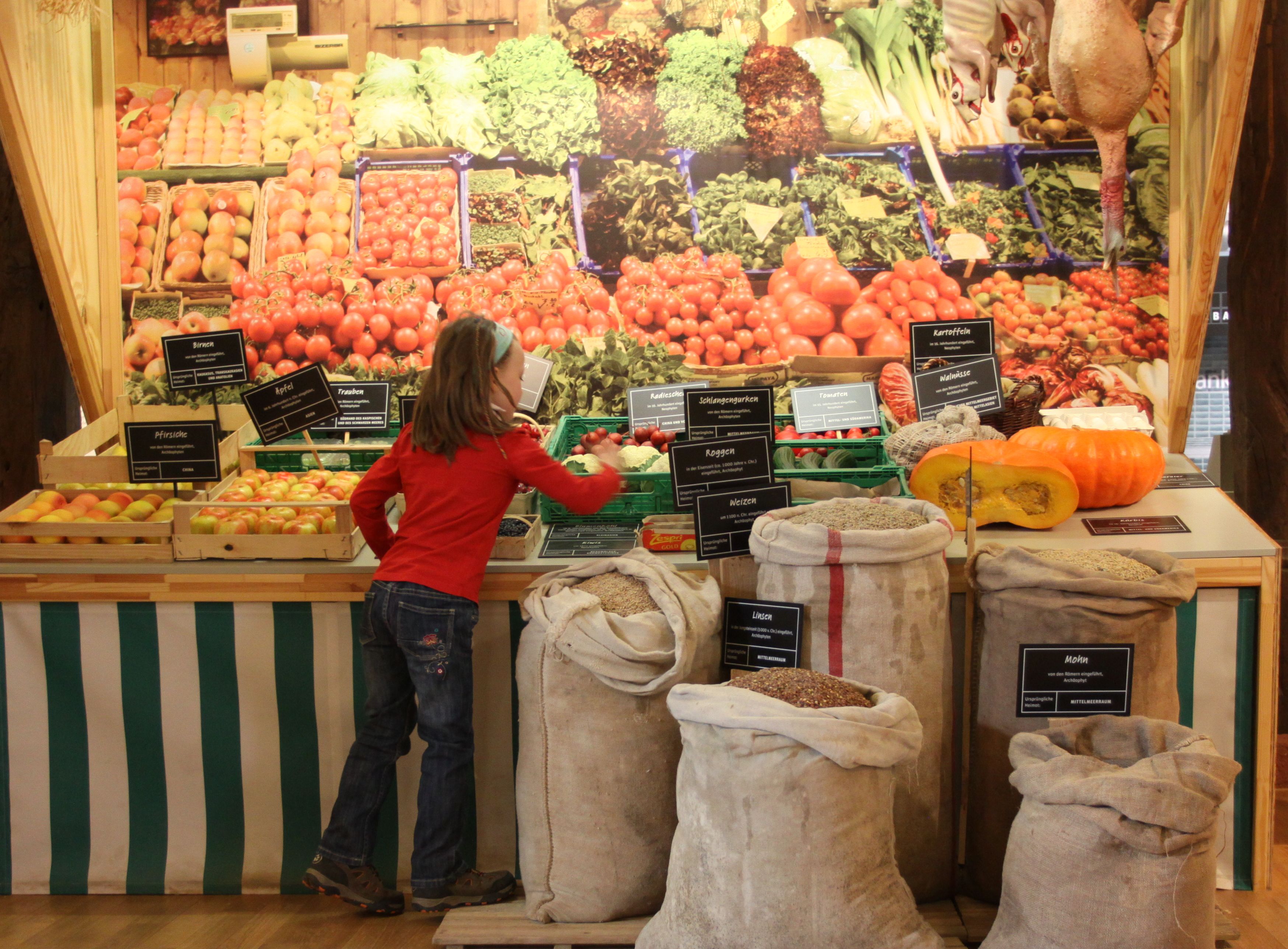 bioversum - Jagdschloss Kranichstein