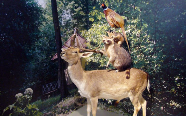 bioversum - Jagdschloss Kranichstein