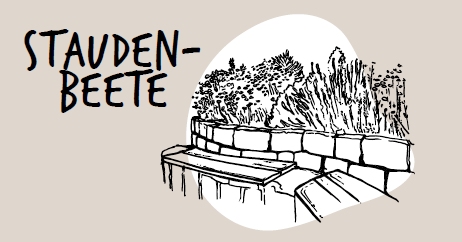 POI_Bilder für Homepage_Staudenbeete_farbig - Jagdschloss Kranichstein