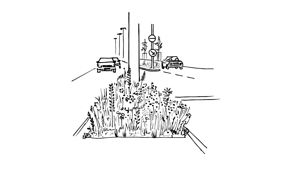 POI_Bilder für Homepage_Test Begleitgrün - Jagdschloss Kranichstein